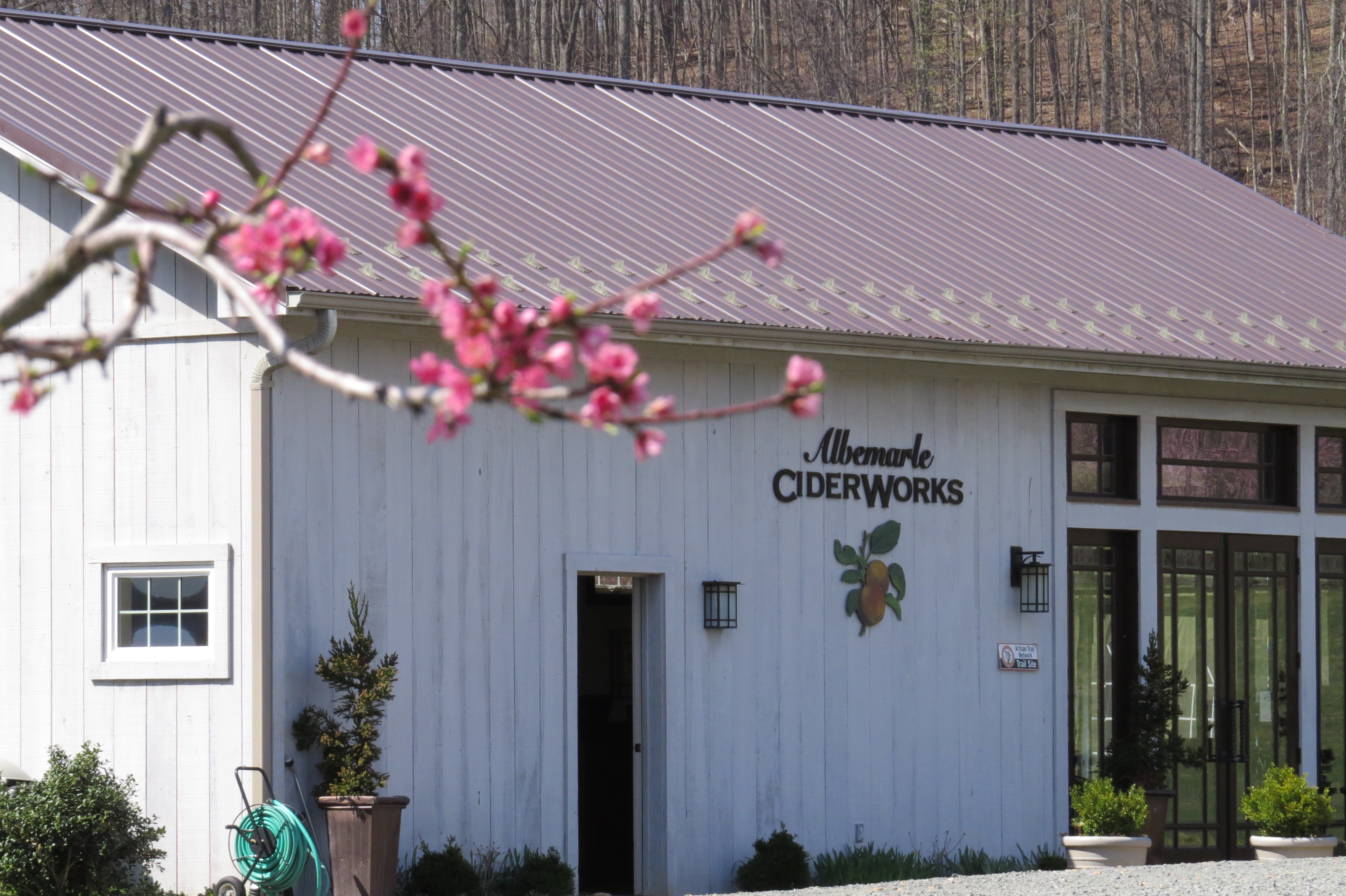 In the Orchard | Albemarle Ciderworks & Vintage Virginia Apples