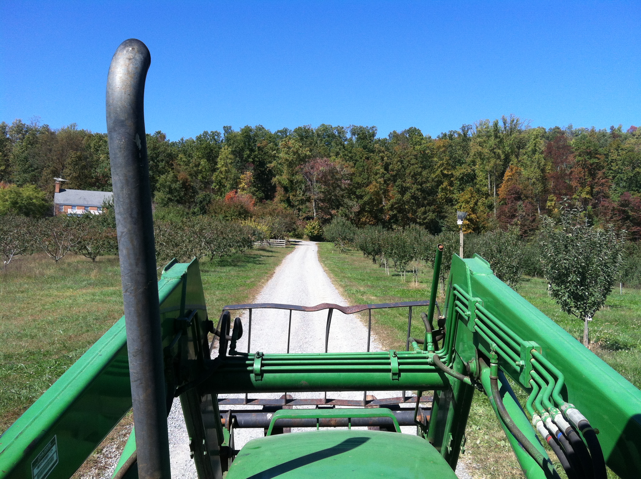 The Cidermaking Process | Albemarle Ciderworks & Vintage Virginia Apples
