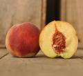 Peach Varieties | Albemarle Ciderworks & Vintage Virginia Apples