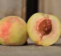 Peach Varieties | Albemarle Ciderworks & Vintage Virginia Apples